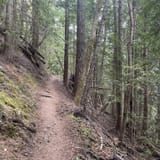 Pyramid Mountain Trail, Washington - 695 Reviews, Map | AllTrails