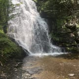 Bushkill Falls Red Trail [CLOSED], Pennsylvania - 649 Reviews, Map ...