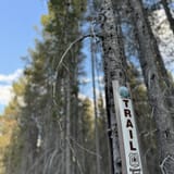 Coffee Pot Rapids Trail, Idaho - 299 Reviews, Map | AllTrails
