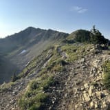 Mount Aeneas Summit Trail, Montana - 420 Reviews, Map | AllTrails