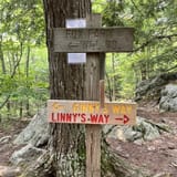 Bauneg Beg Middle Mountain Trail, Maine - 1,219 Reviews, Map | AllTrails
