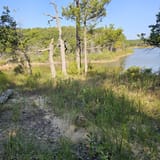 Cross Timbers Hiking Trail, Texas - 1,496 Reviews, Map | AllTrails
