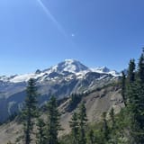 Skyline Divide Trail [CLOSED], Washington - 752 Reviews, Map | AllTrails