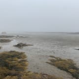 Clark Island Preserve, Maine - 438 Reviews, Map | AllTrails