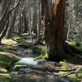 Little Lougheed, Alberta, Canada - 2,170 Reviews, Map | AllTrails