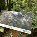 Puyallup Loop Trail, Washington - 1,414 Reviews, Map | AllTrails