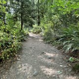 Puyallup Loop Trail, Washington - 1,414 Reviews, Map | AllTrails