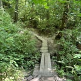 Puyallup Loop Trail, Washington - 1,414 Reviews, Map | AllTrails