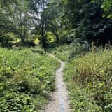 Puyallup Loop Trail, Washington - 1,414 Reviews, Map | AllTrails