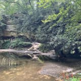 Rock Bridge Trail, Kentucky - 4,137 Reviews, Map | AllTrails