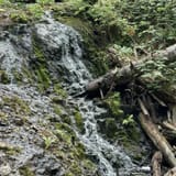 Mima Falls Loop, Washington - 1,713 Reviews, Map | AllTrails