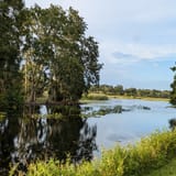 Lake Parker Park, Florida - 366 Reviews, Map | AllTrails