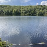 Surprise Lake Loop, New Jersey - 1,545 Reviews, Map | AllTrails