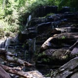 Yellow Branch Falls Trail, South Carolina - 2,951 Reviews, Map | AllTrails