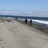 Damon Point State Park Trail, Washington - 513 Reviews, Map | AllTrails