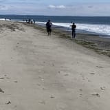 Damon Point State Park Trail, Washington - 513 Reviews, Map | AllTrails