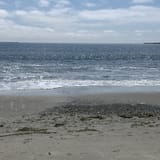 Damon Point State Park Trail, Washington - 509 Reviews, Map | AllTrails