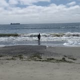 Damon Point State Park Trail, Washington - 513 Reviews, Map | AllTrails