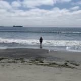 Damon Point State Park Trail, Washington - 513 Reviews, Map | AllTrails