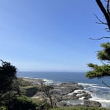 Amanda's Trail, Oregon - 542 Reviews, Map | AllTrails