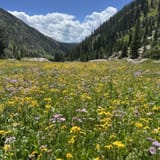 Booth Lake Trail, Colorado - 1,185 Reviews, Map | AllTrails
