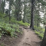 Desolation Lake via Mill D North Fork and Desolation Trail, Utah ...