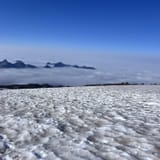 Muir Snowfield Ski Tour, Washington - 1,607 Reviews, Map | AllTrails