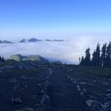 Muir Snowfield Ski Tour, Washington - 1,607 Reviews, Map | AllTrails