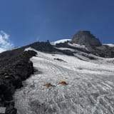 Muir Snowfield Ski Tour, Washington - 1,607 Reviews, Map | AllTrails