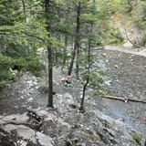 Heart Creek Trail, Alberta, Canada - 3,831 Reviews, Map | AllTrails