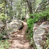 Turtle Rock Loop Trail, Wyoming - 1,401 Reviews, Map | AllTrails
