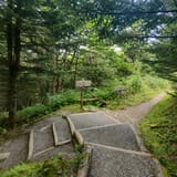 Andrews Bald Trail, North Carolina - 2,699 Reviews, Map | AllTrails