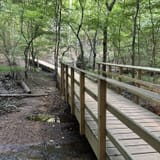 Gold Branch Trail, Georgia - 2,844 Reviews, Map | AllTrails