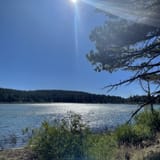 Spooner Lake Trail, Nevada - 2,048 Reviews, Map | AllTrails