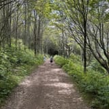 Max Patch Loop, North Carolina - 2,420 Reviews, Map | AllTrails