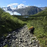 Portage Pass Trail, Alaska - 2,322 Reviews, Map | AllTrails