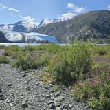 Portage Pass Trail, Alaska - 2,322 Reviews, Map | AllTrails