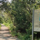 Cedar Point Tideland Trail, North Carolina - 773 Reviews, Map | AllTrails