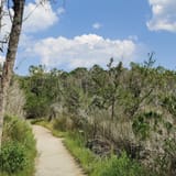 Cedar Point Tideland Trail, North Carolina - 773 Reviews, Map | AllTrails