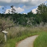 Cedar Point Tideland Trail, North Carolina - 773 Reviews, Map | AllTrails
