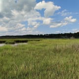 Cedar Point Tideland Trail, North Carolina - 773 Reviews, Map | AllTrails