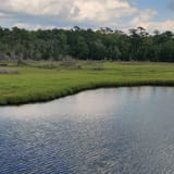 Cedar Point Tideland Trail, North Carolina - 773 Reviews, Map | AllTrails