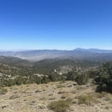 Sierra Viewpoint Trail, California - 57 Reviews, Map | AllTrails