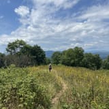 Siler Bald via Appalachian Trail, North Carolina - 823 Reviews, Map ...