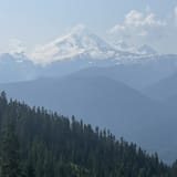 Excelsior Pass Trail, Washington - 666 Reviews, Map | AllTrails