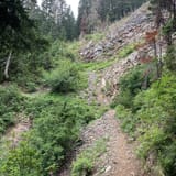 McClellan Butte Trail, Washington - 1,206 Reviews, Map | AllTrails
