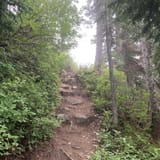 McClellan Butte Trail, Washington - 1,206 Reviews, Map | AllTrails