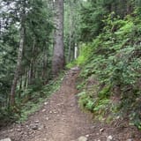 McClellan Butte Trail, Washington - 1,206 Reviews, Map | AllTrails