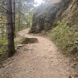 Little Si Trail, Washington - 12,257 Reviews, Map | AllTrails