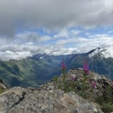 Bird Ridge Trail, Alaska - 1,148 Reviews, Map | AllTrails